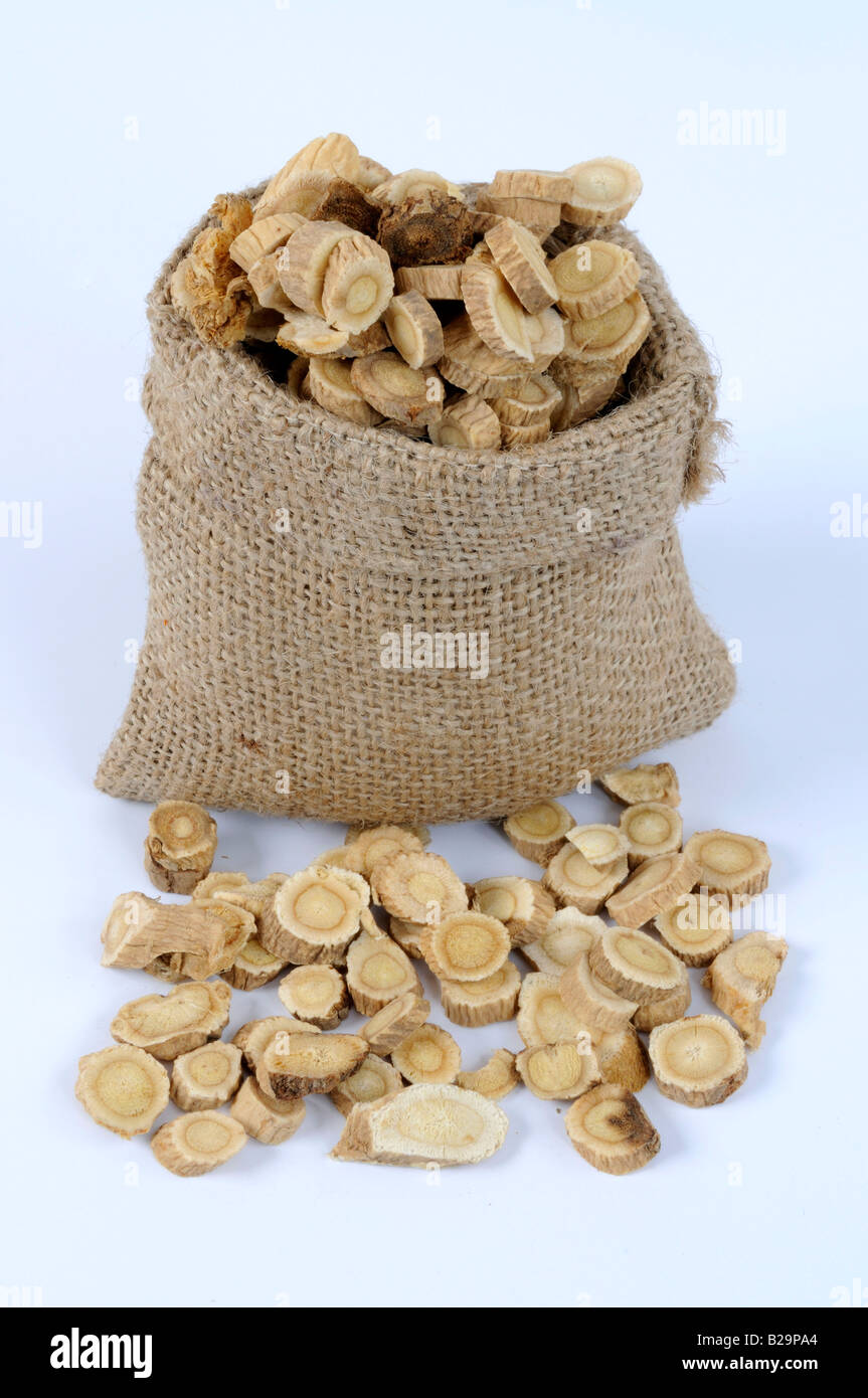 Membranous Milkvetch Root / Huang Qi Stock Photo - Alamy