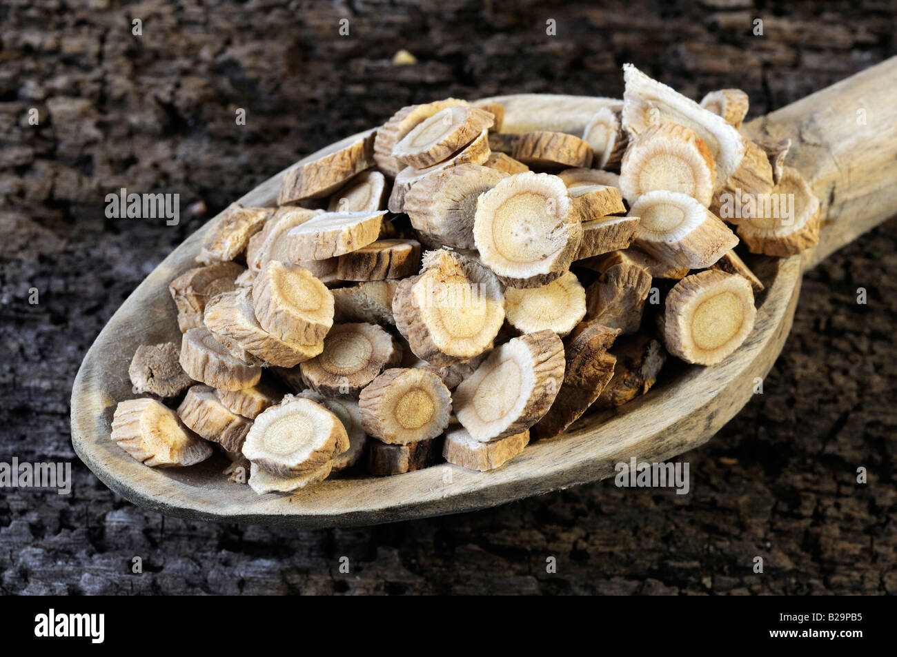 Membranous Milkvetch Root / Huang Qi Stock Photo - Alamy