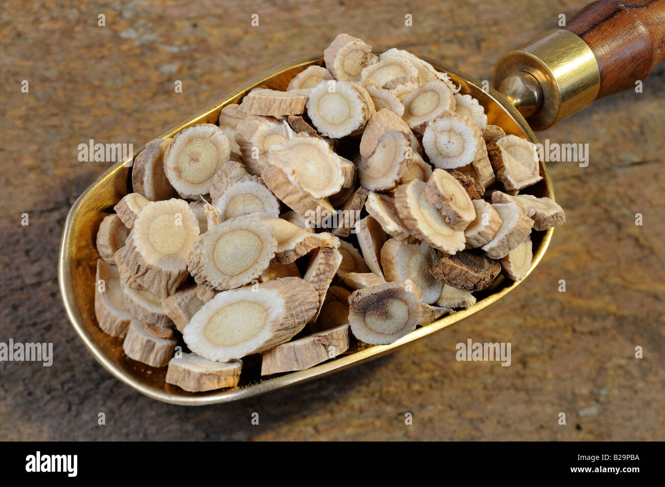 Membranous Milkvetch Root / Huang Qi Stock Photo - Alamy