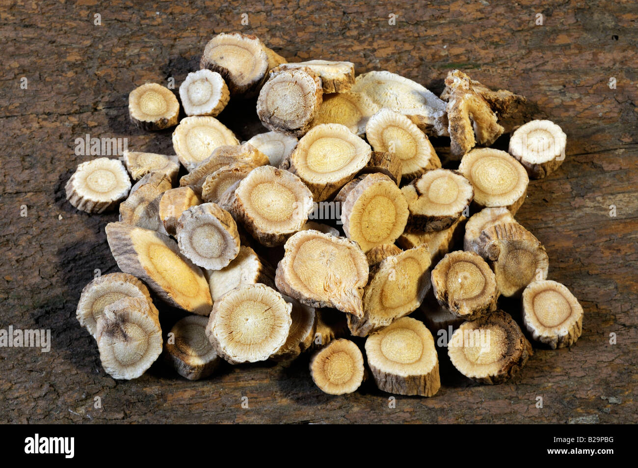 Membranous Milkvetch Root / Huang Qi Stock Photo - Alamy