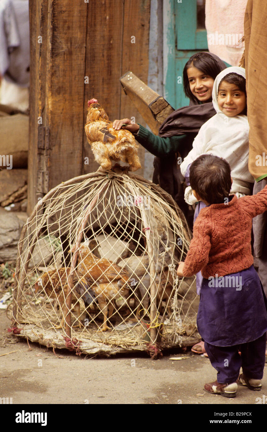 Tribal areas pakistan hi-res stock photography and images - Alamy