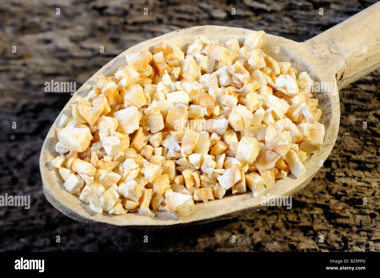 Platycodon Root / Jie Geng Stock Photo - Alamy
