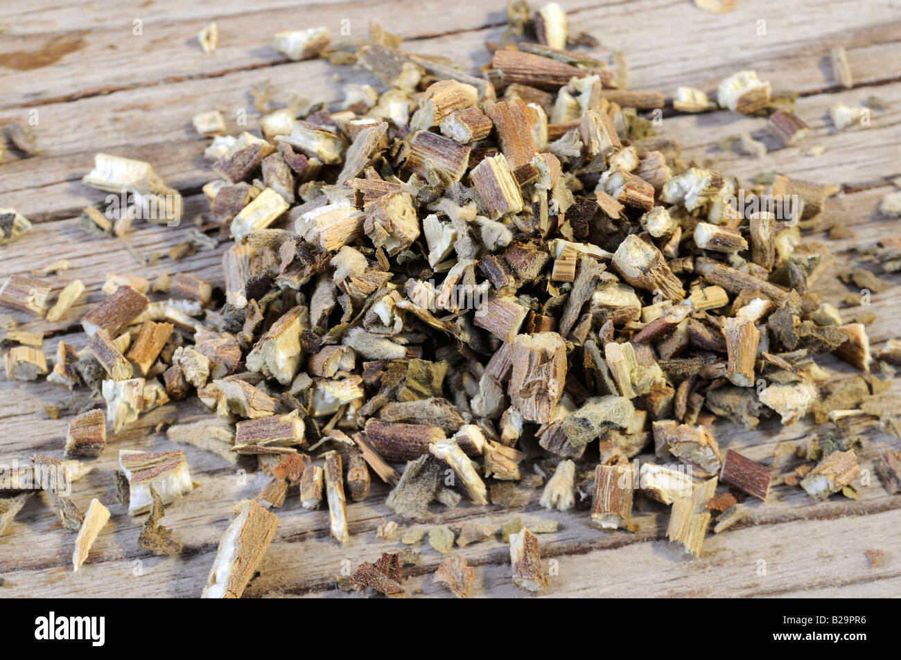 Chinese patchouli hi-res stock photography and images - Alamy