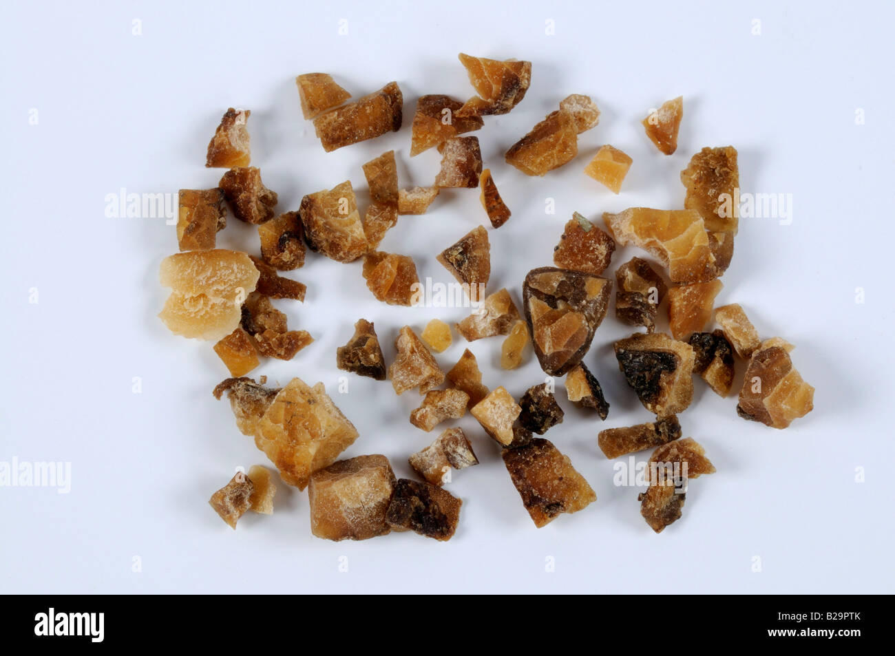 Pedate Pinallia Jackinthepulpit Rhizome Stock Photo - Alamy