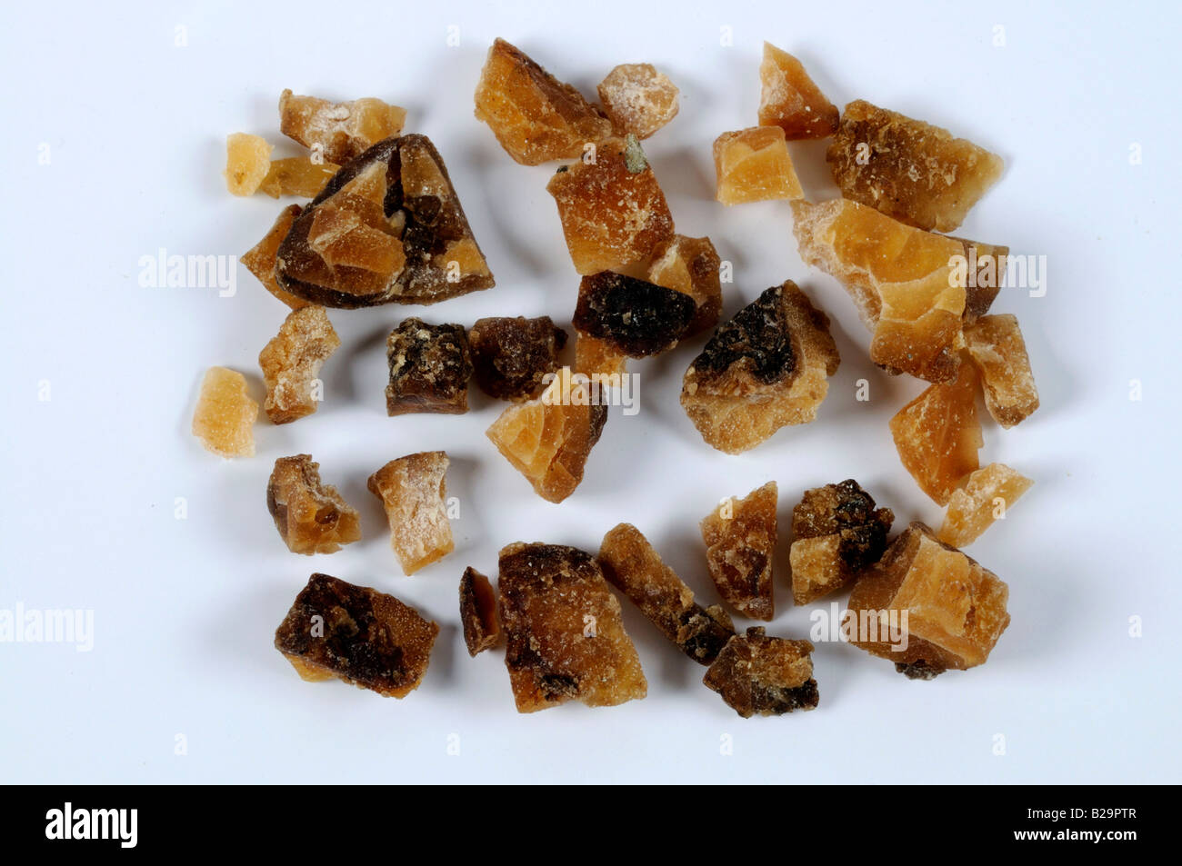 Pedate Pinallia Jackinthepulpit Rhizome Stock Photo - Alamy