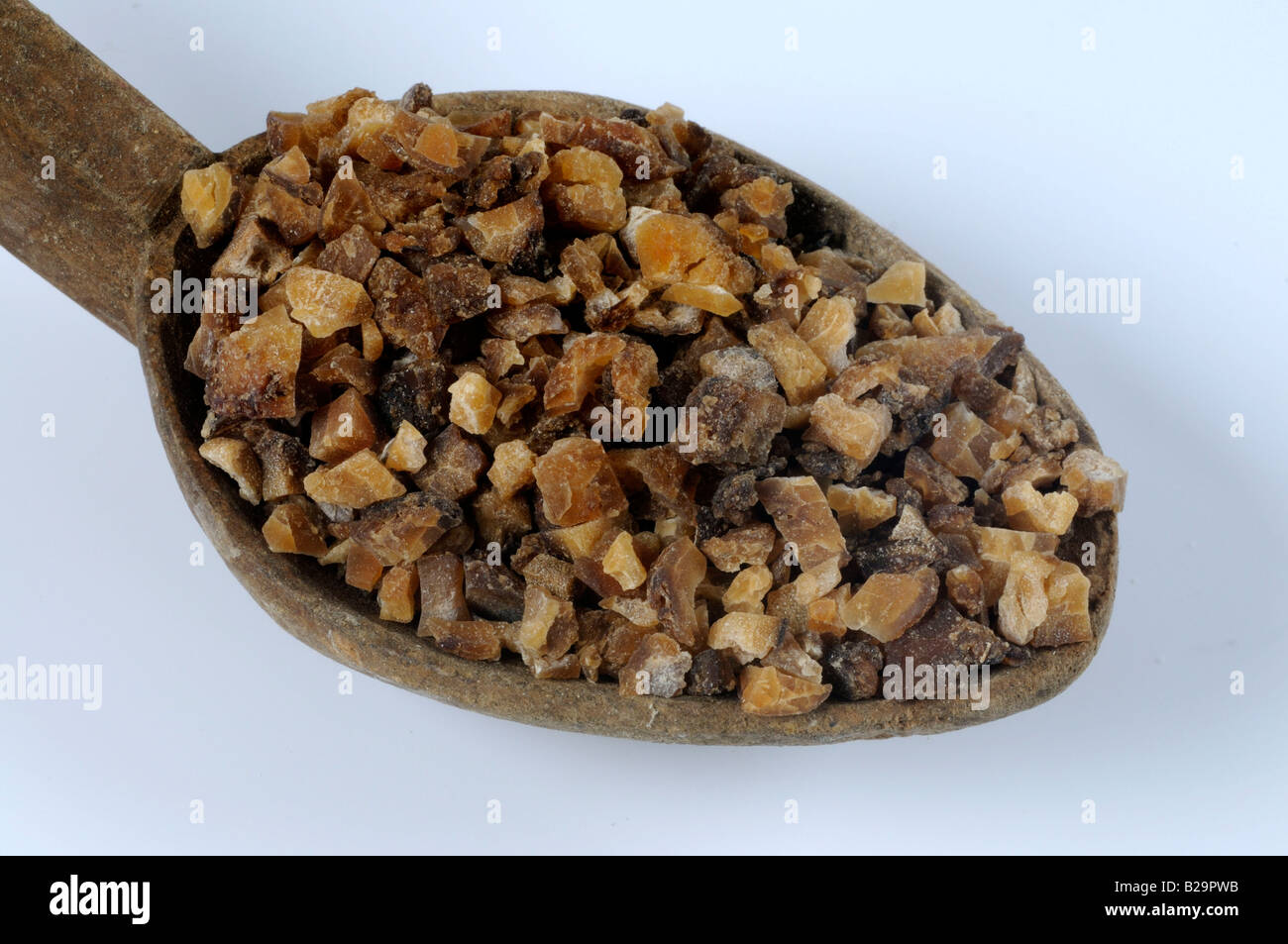 Pedate Pinallia Jackinthepulpit Rhizome Stock Photo - Alamy