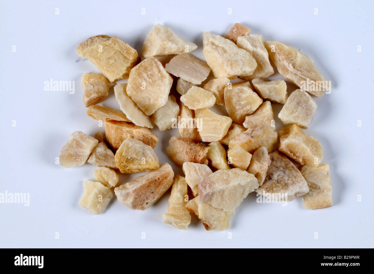 White Paeony Root / Bai Shao Stock Photo - Alamy