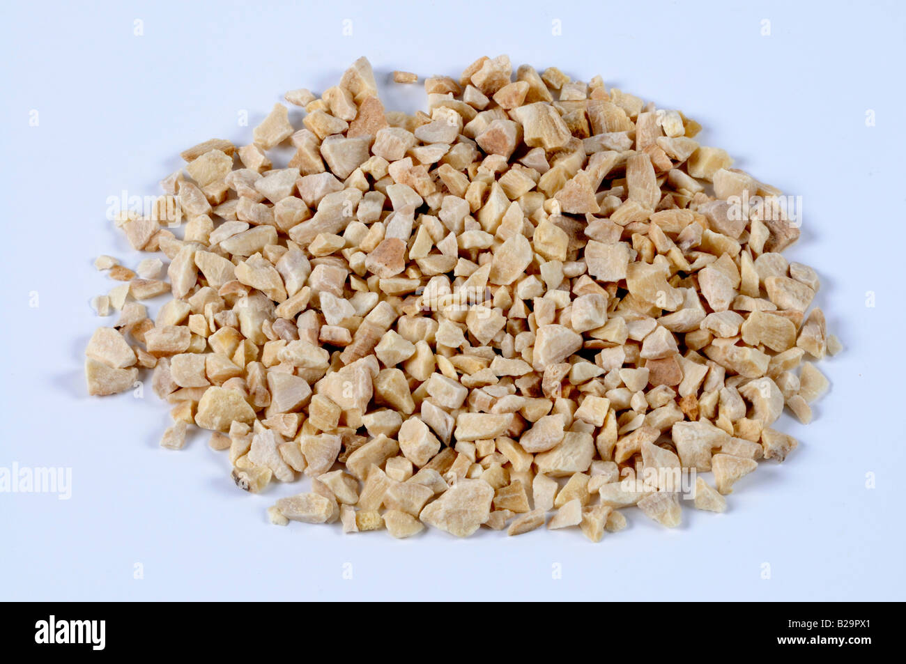 White Paeony Root / Bai Shao Stock Photo - Alamy