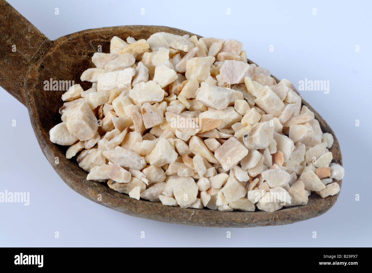 White Paeony Root / Bai Shao Stock Photo - Alamy