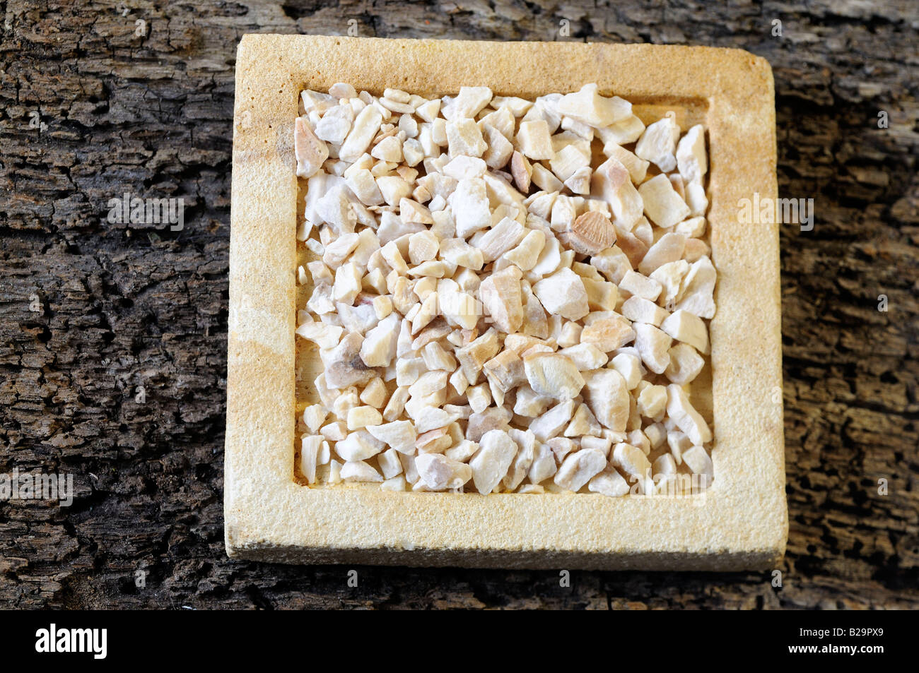 White Paeony Root / Bai Shao Stock Photo - Alamy