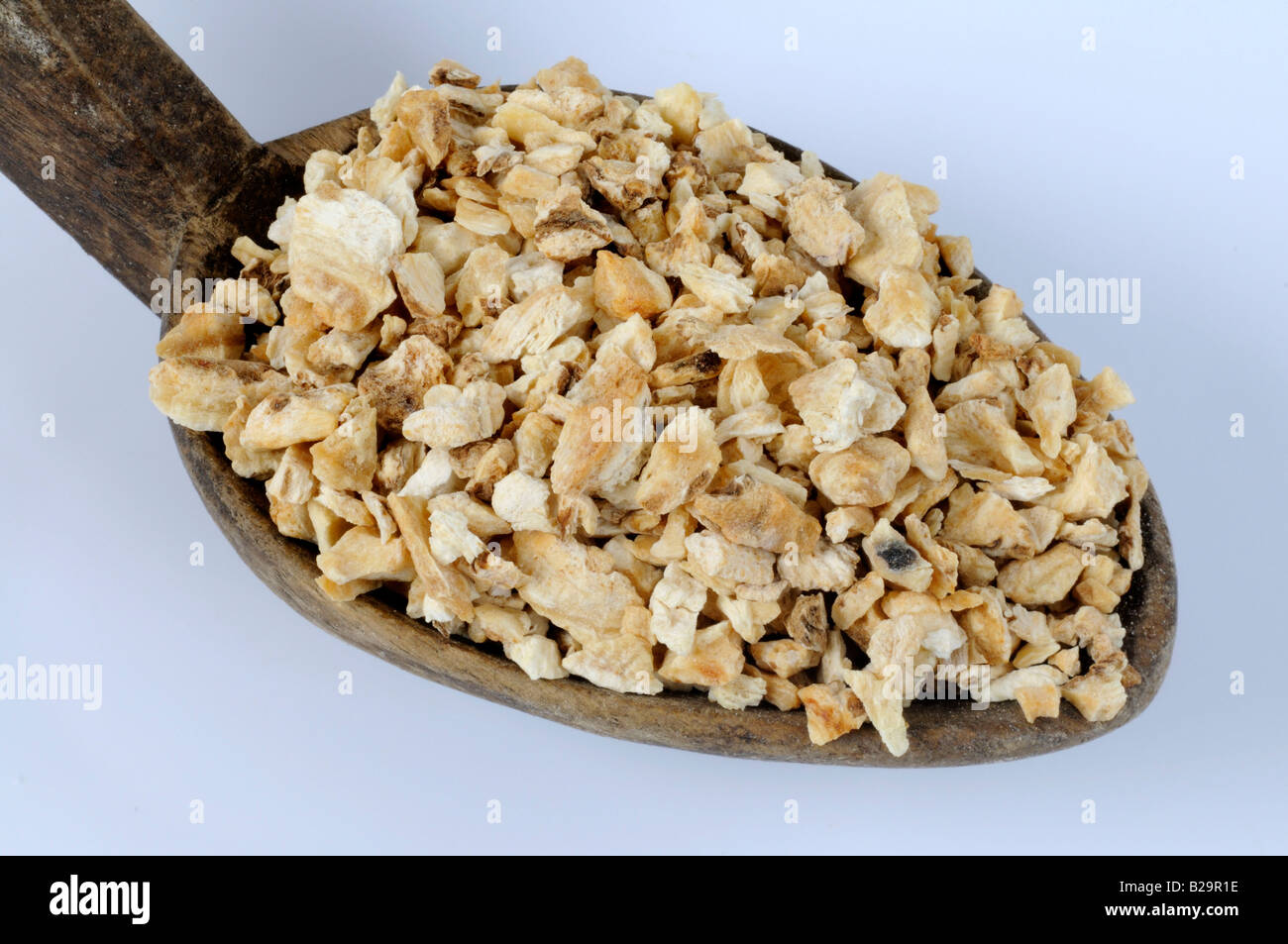 Chinese Angelica / Dang Gui Stock Photo - Alamy