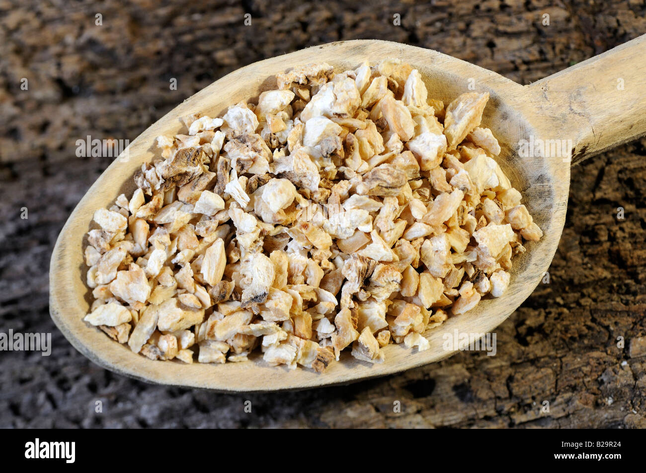 Chinese Angelica / Dang Gui Stock Photo - Alamy