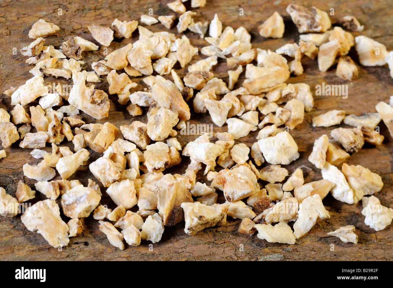 Chinese Angelica / Dang Gui Stock Photo - Alamy
