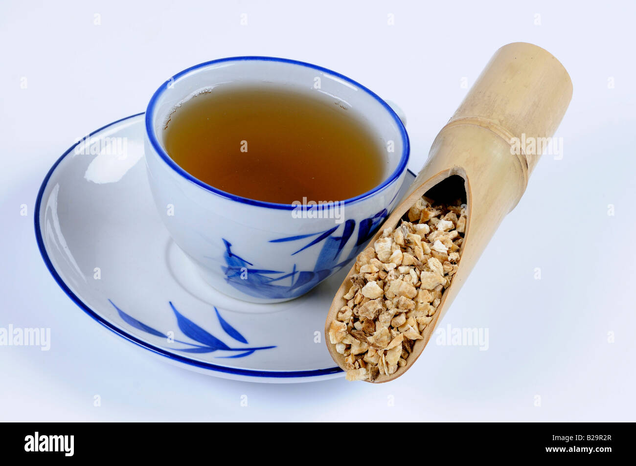 Chinese Angelica / Dang Gui Stock Photo - Alamy