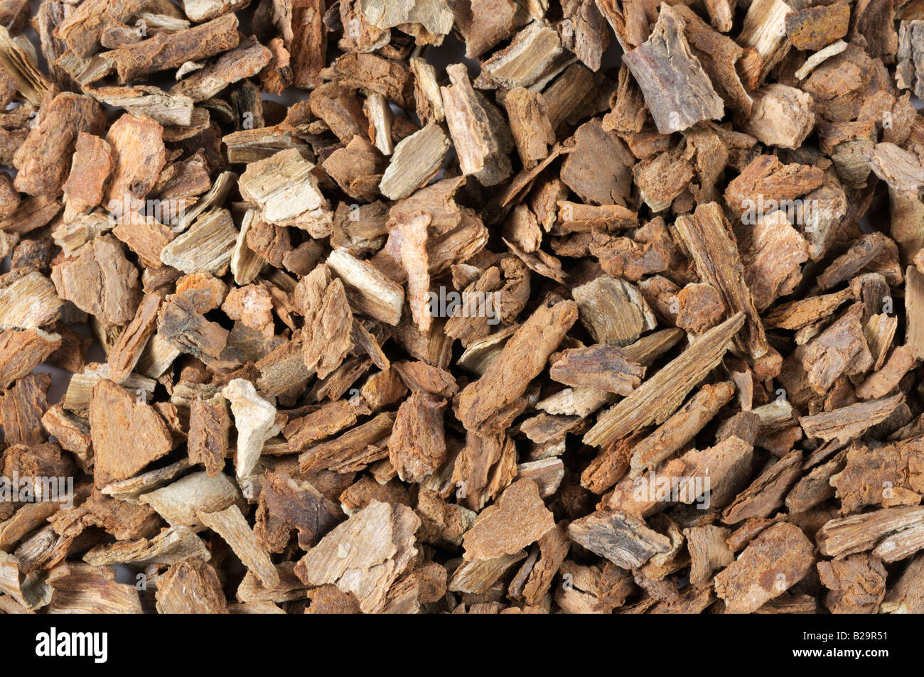 Chinese wolfberry hi-res stock photography and images - Alamy
