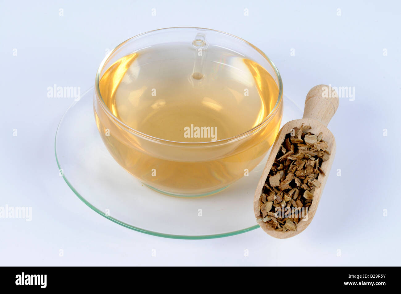 Cortex Cut Out Stock Images & Pictures - Alamy