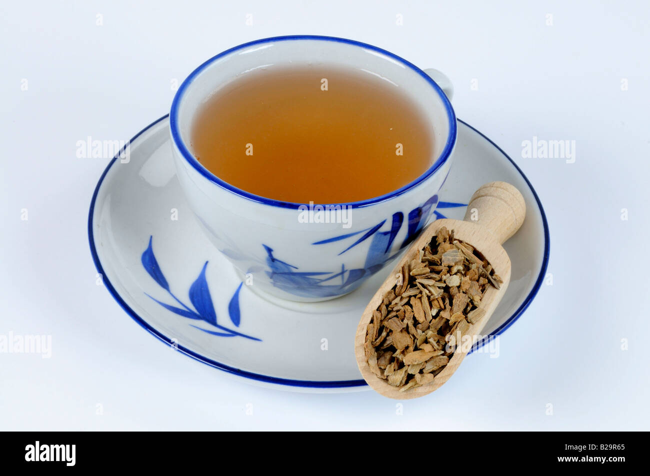 Chinese Wolfberry Root-bark / Di Gu Pi Stock Photo - Alamy