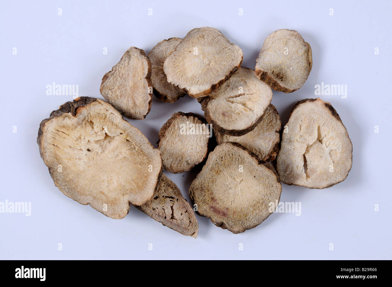 Red Paeony Root / Chi Shao Stock Photo - Alamy