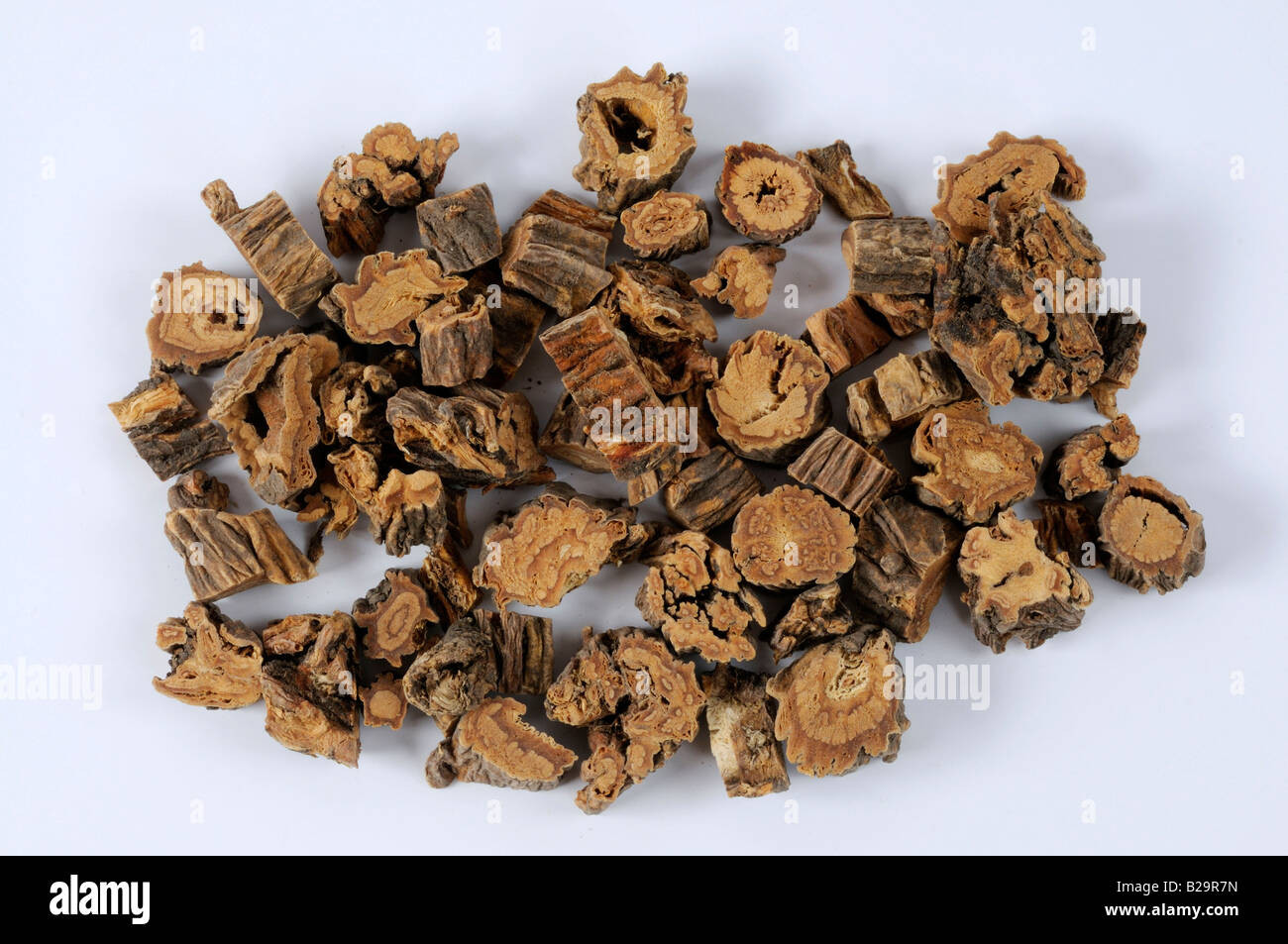 Chinese gentian root hi-res stock photography and images - Alamy