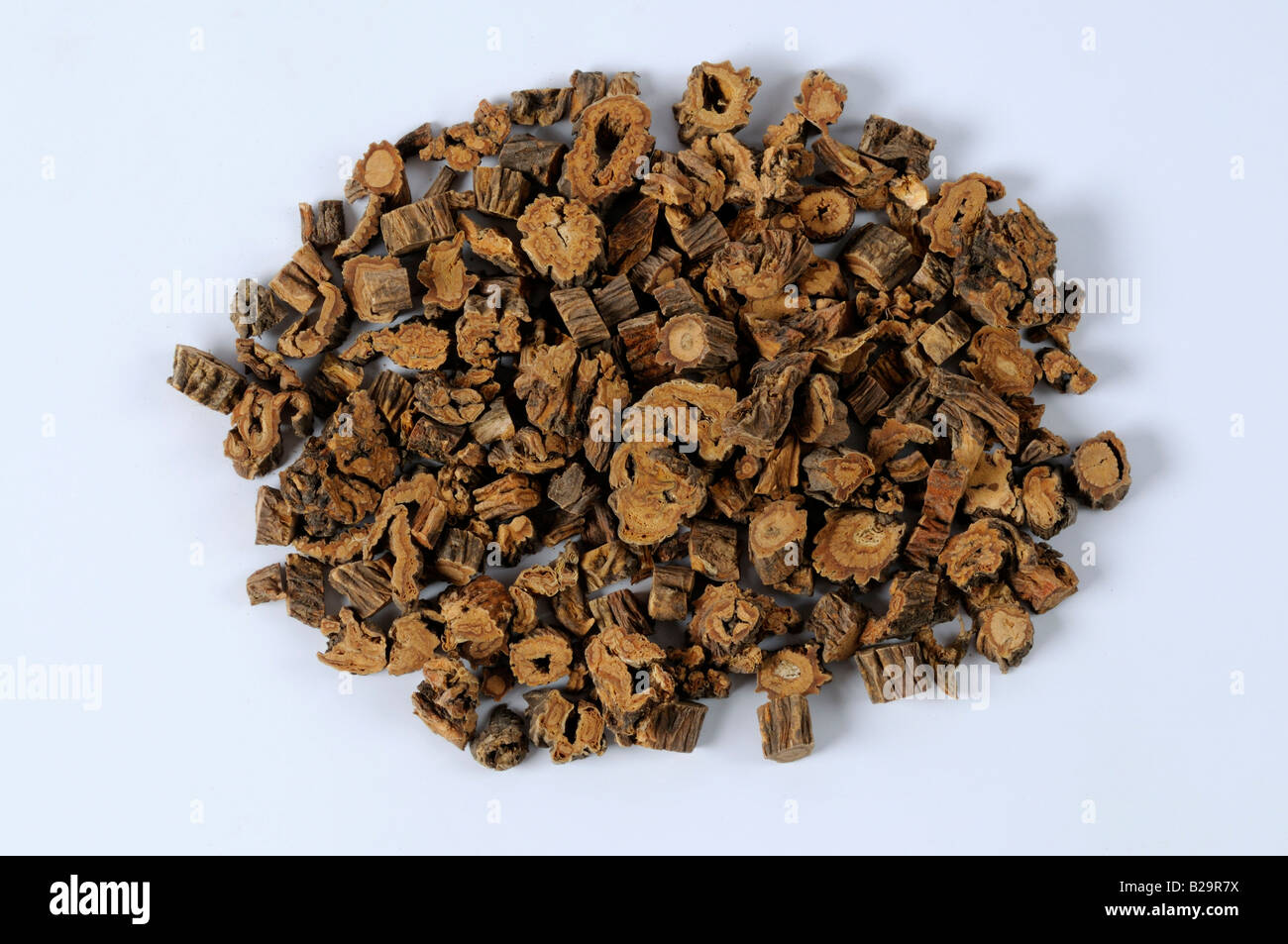 Chinese gentian root hi-res stock photography and images - Alamy