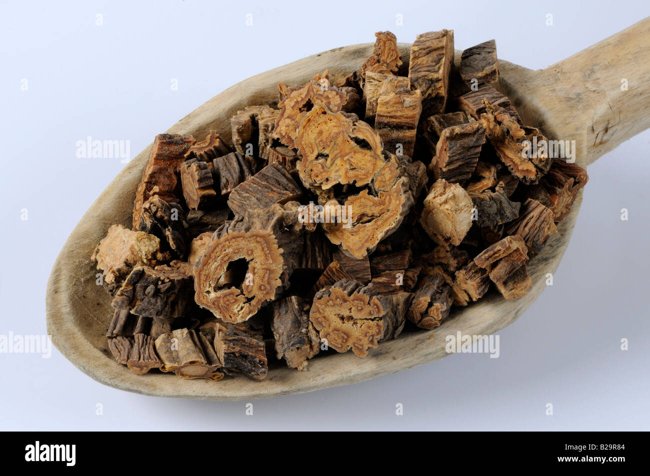 Chinese gentian root hi-res stock photography and images - Alamy