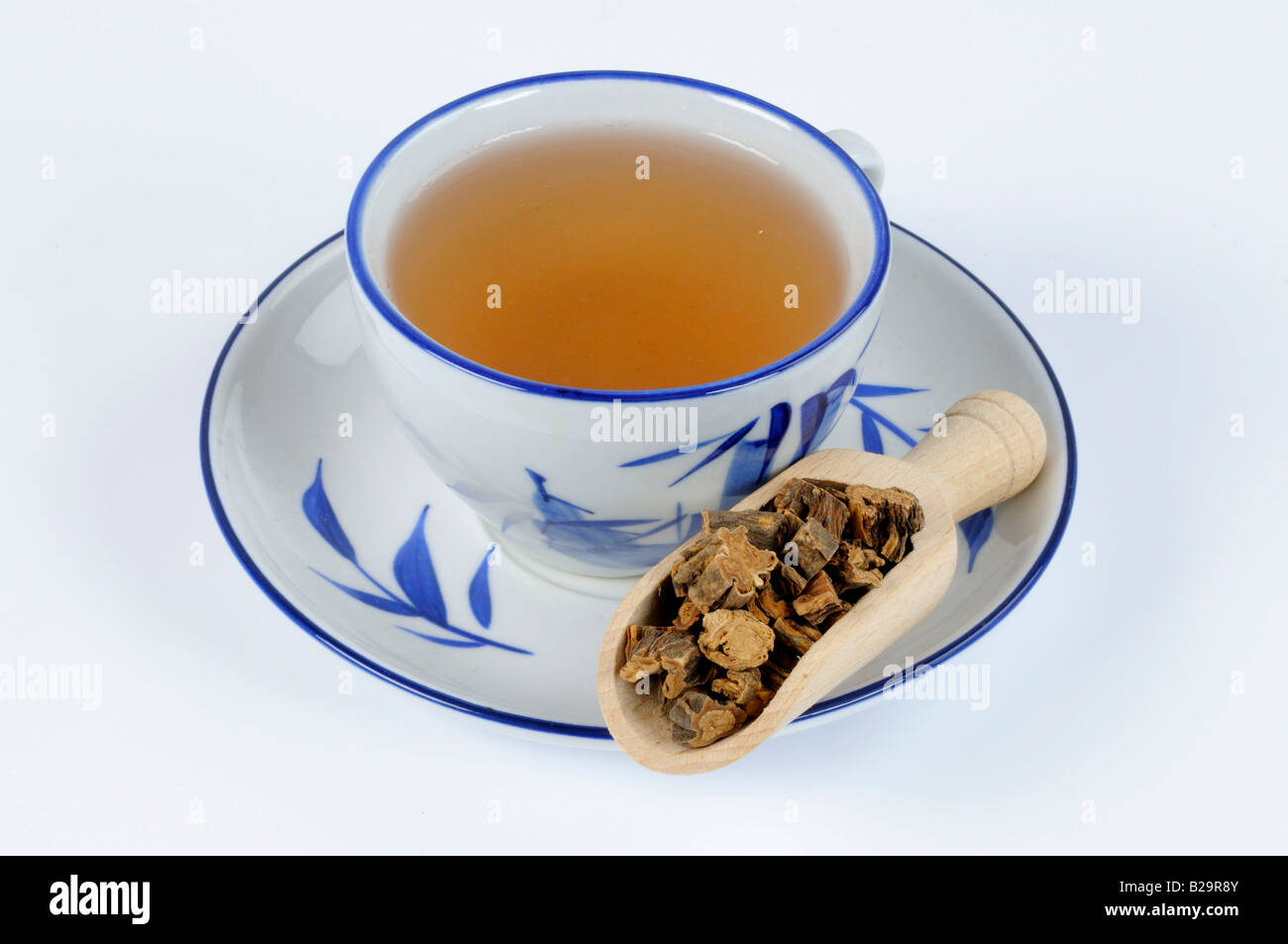 Largeleaf Gentian Root tea / Qin Jiao Stock Photo - Alamy