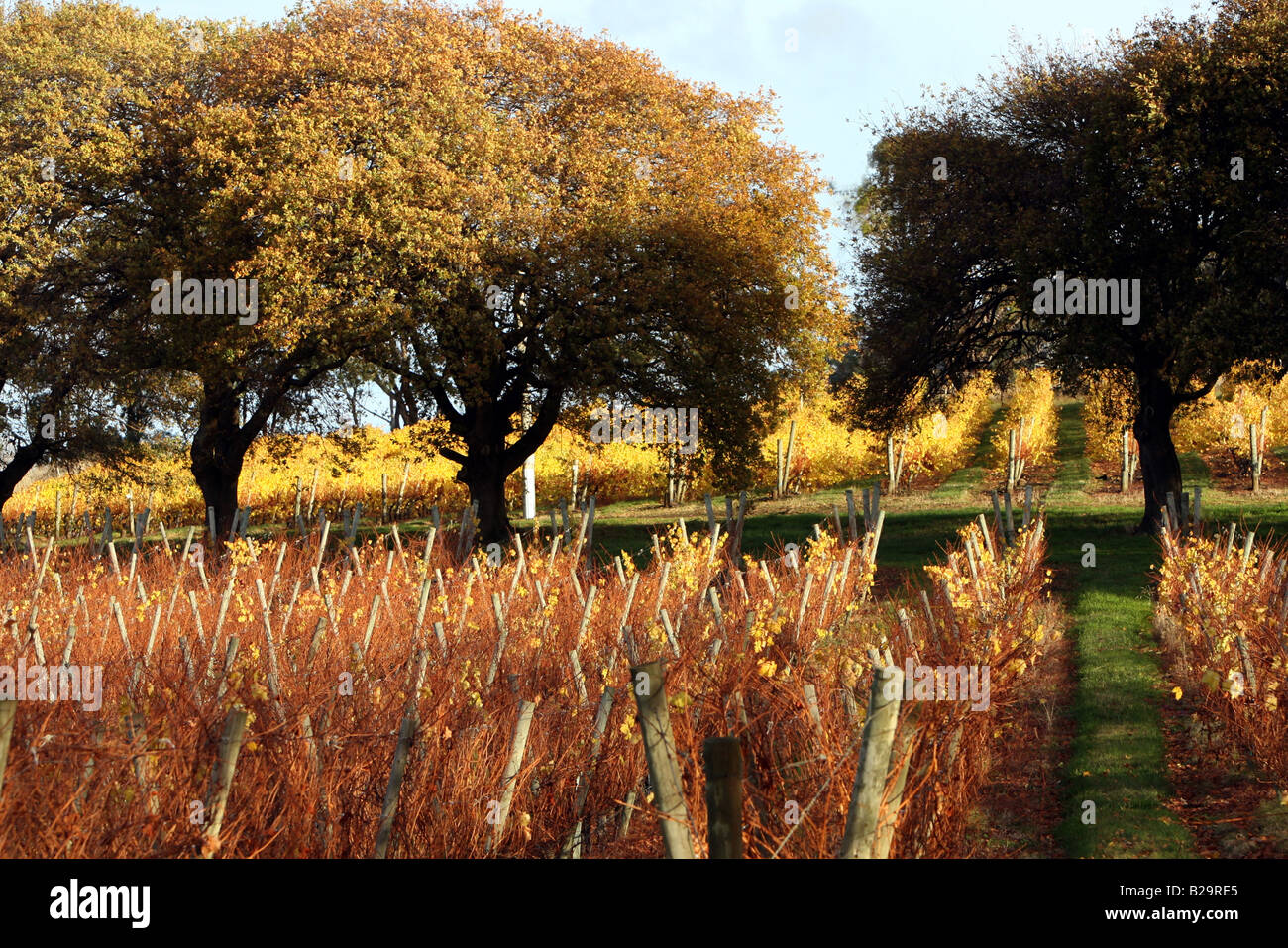 Jr573dfwp hi-res stock photography and images - Alamy