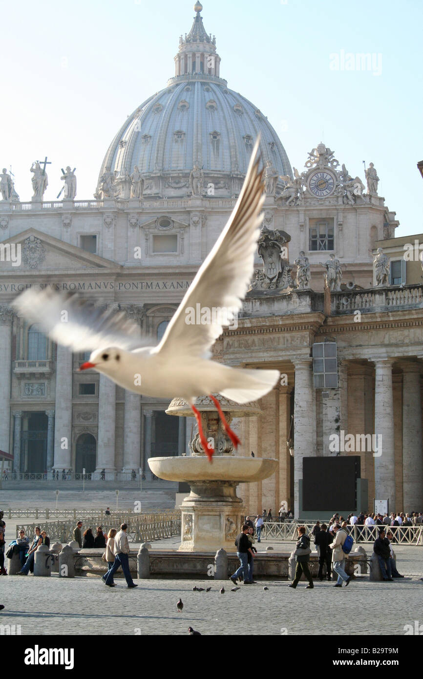 Vatican birds hi-res stock photography and images - Alamy