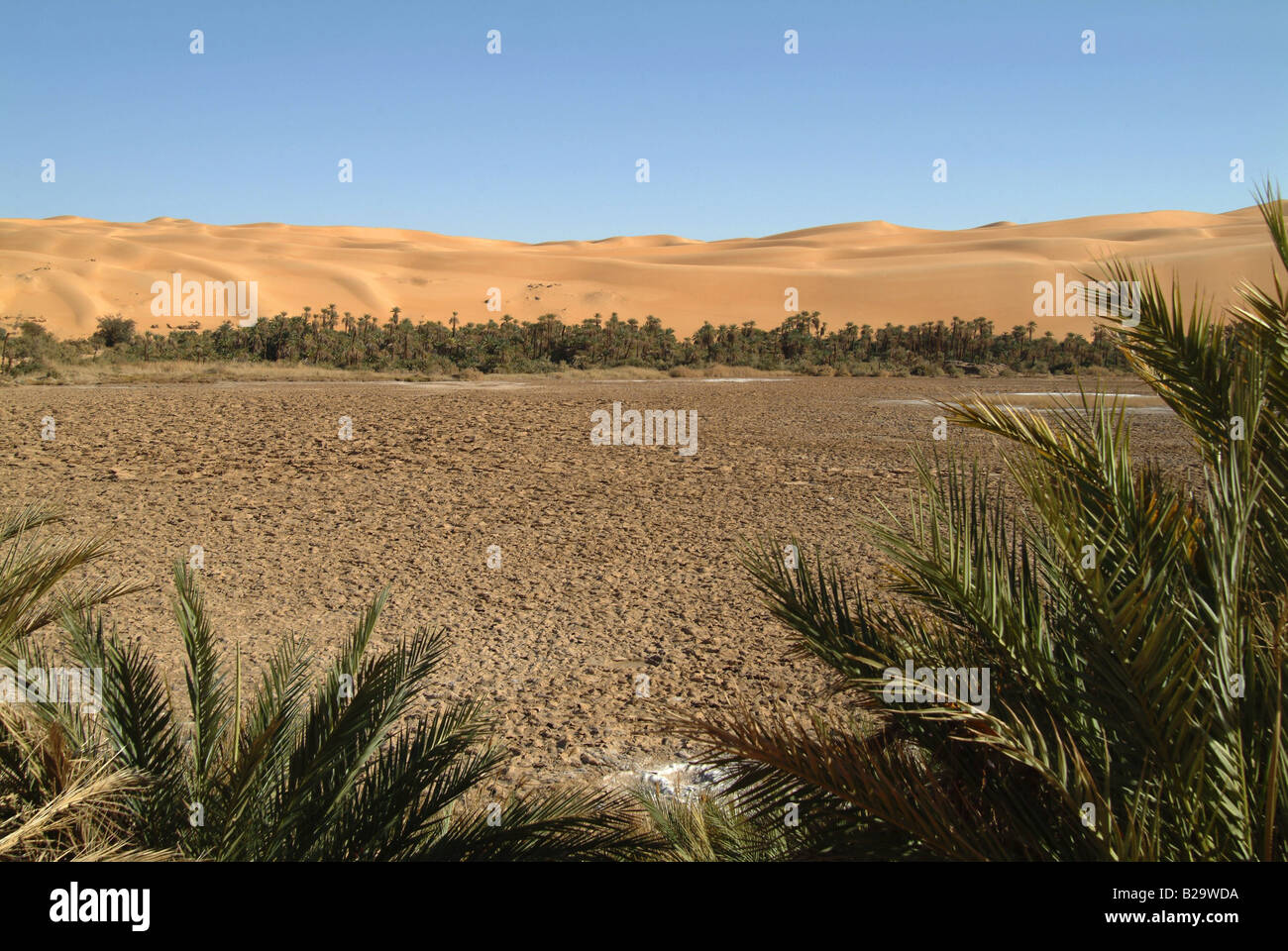 Oasis Libya Ref WP SAV 1379 COMPULSORY CREDIT World Pictures Photoshot ...