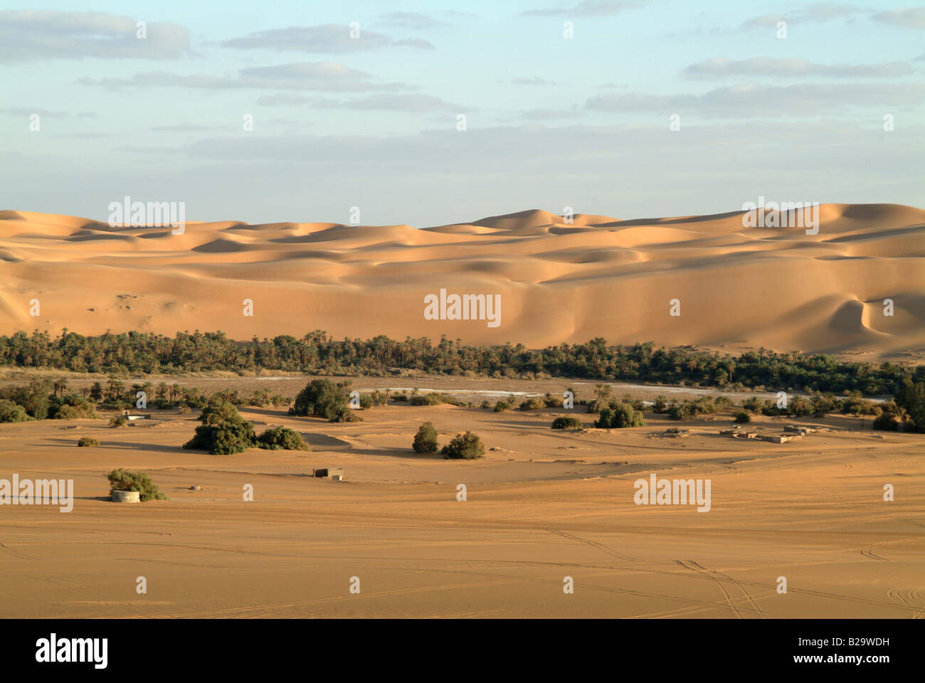 Oasis Libya Ref WP SAV 1382 COMPULSORY CREDIT World Pictures Photoshot ...