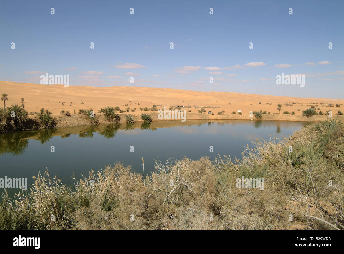 Oasis Libya Ref WP SAV 1385 COMPULSORY CREDIT World Pictures Photoshot ...