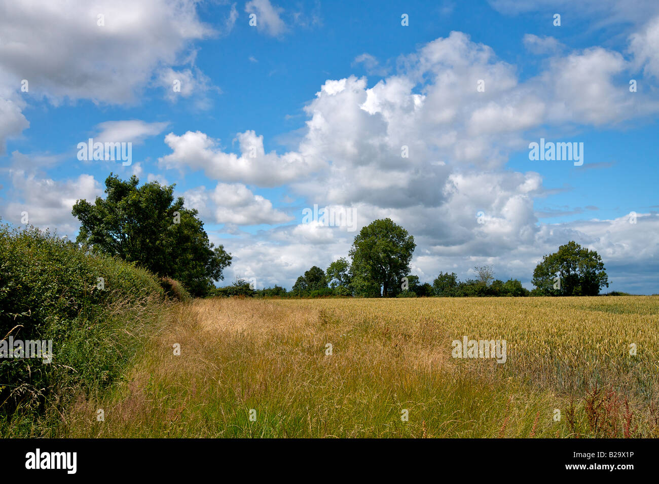 Typical scene of the English countryside Stock Photo - Alamy