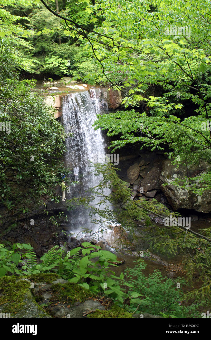 Cucumber Falls in the Ohiopyle State Park Pennsylvania Stock Photo - Alamy