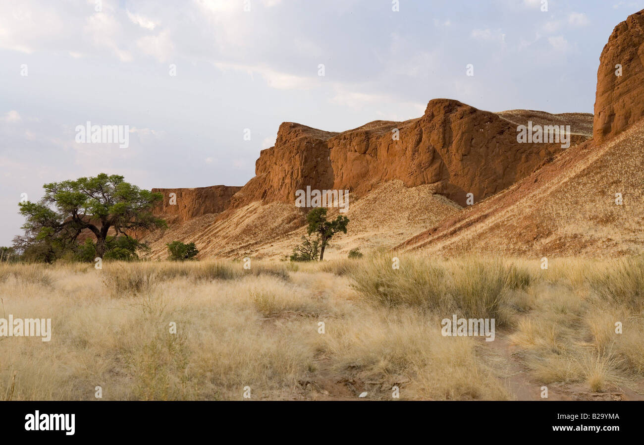 Typical scenery between the coast and Namib Desert Namibia Stock Photo ...