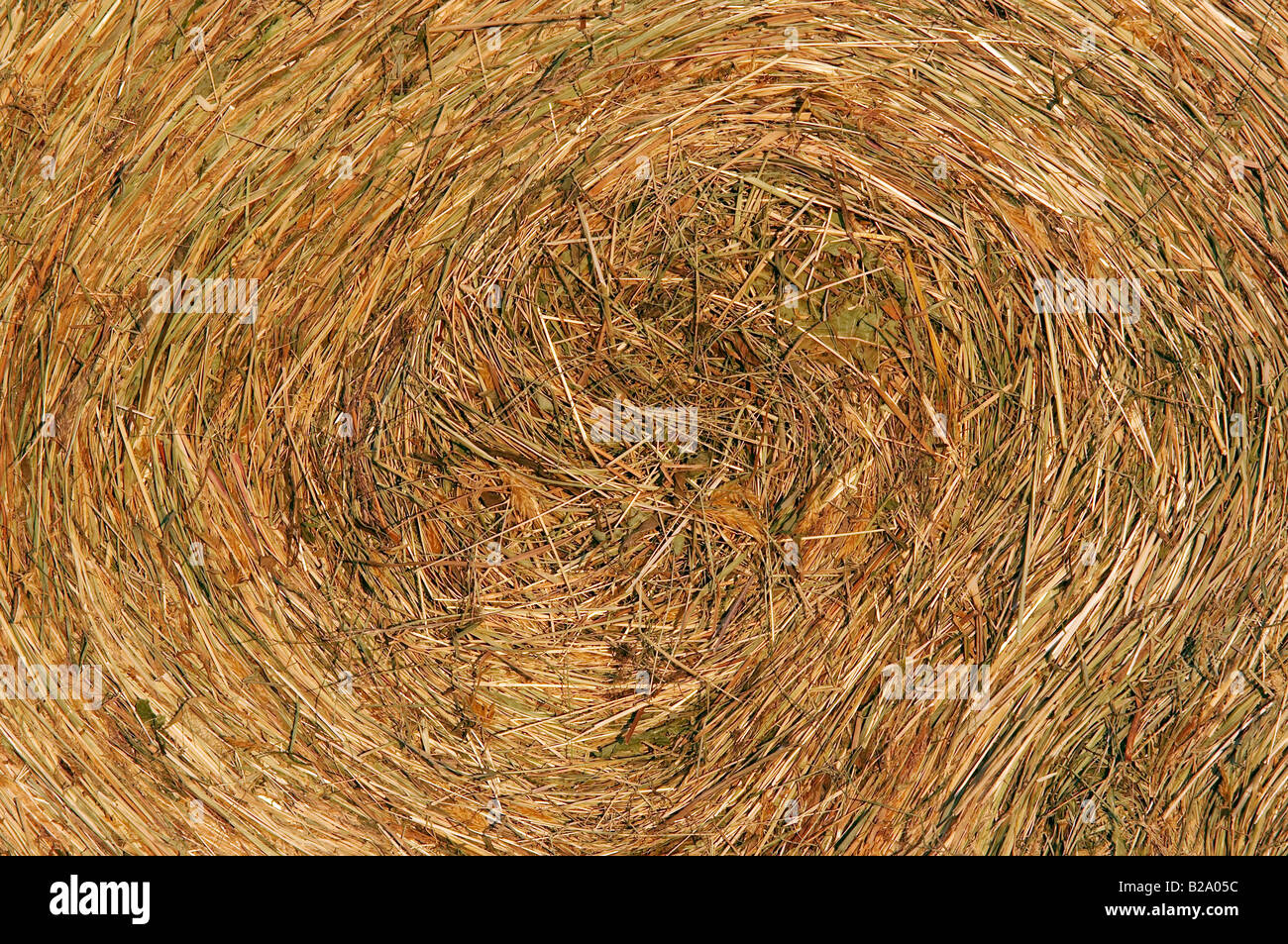 Truss of straw hi-res stock photography and images - Alamy