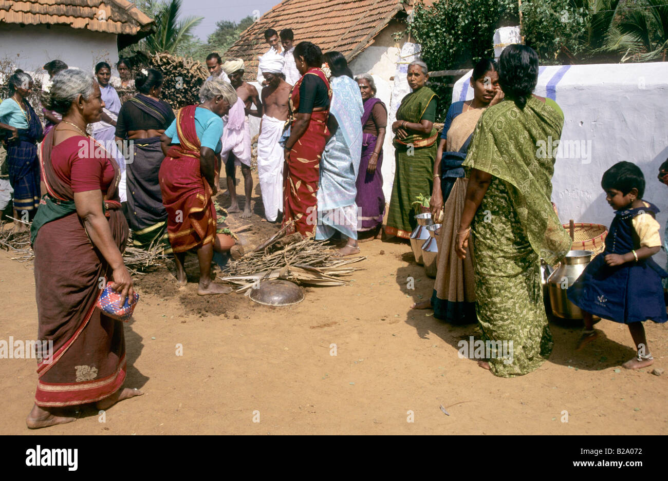 South India Tamil Nadu Pongal Festival Boiling Rice Ceremony Stock ...
