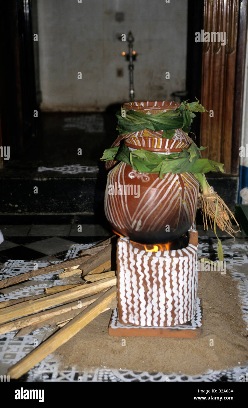 South India Tamil Nadu Pongal Festival Boiling Rice Ceremony ...