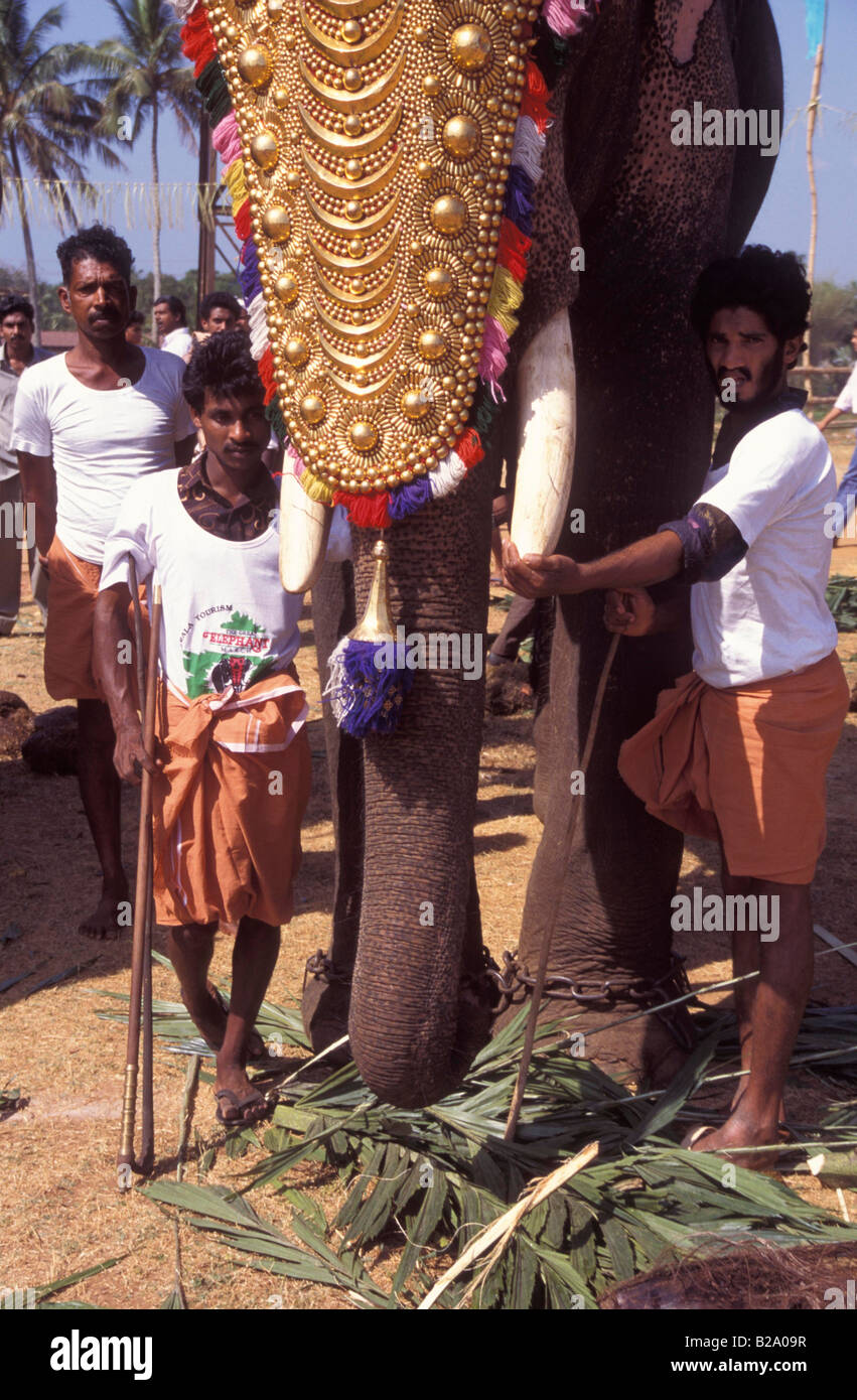 South India Kerala Trichur Elephant Festival Stock Photo - Alamy