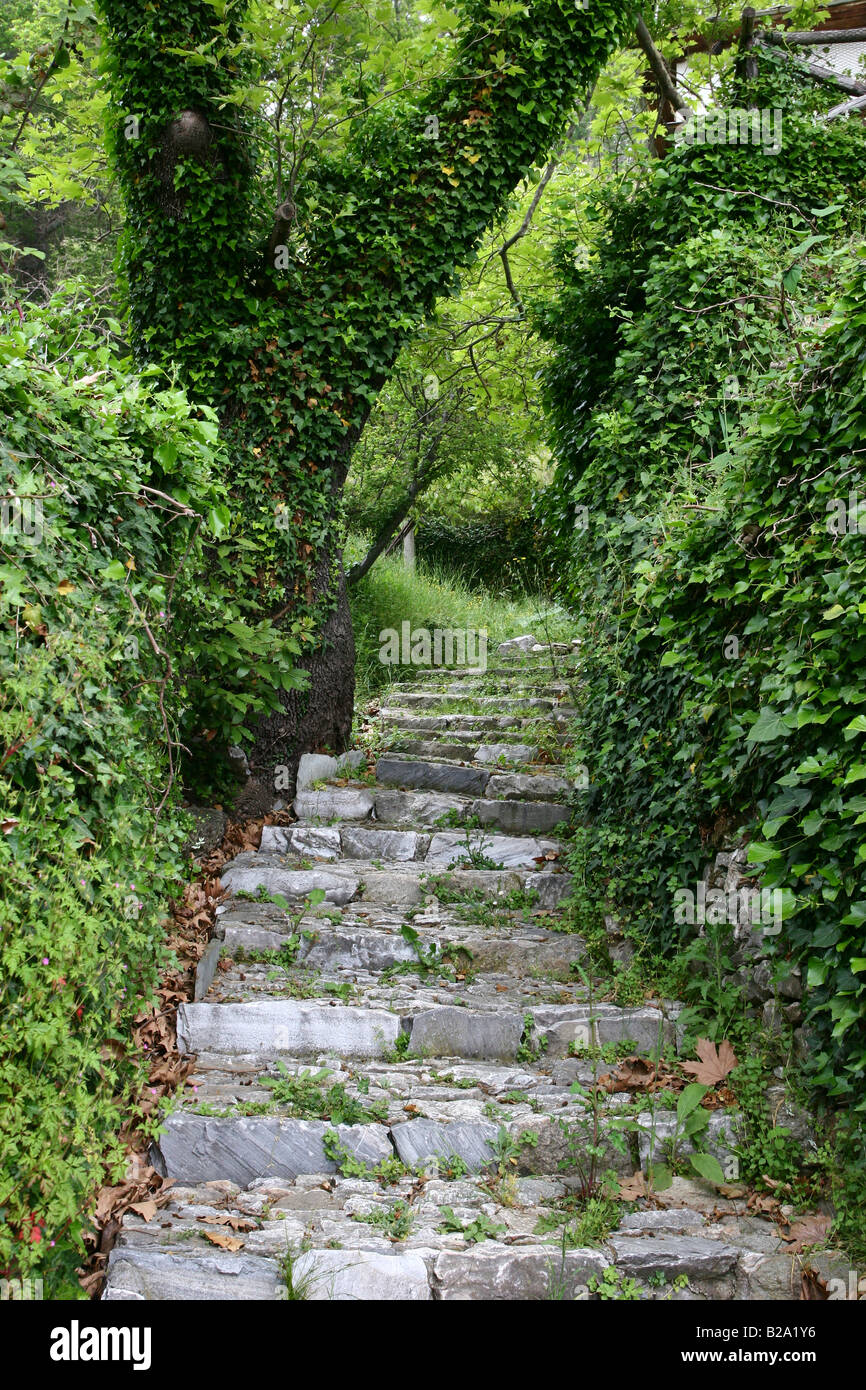 Pelium hi-res stock photography and images - Alamy