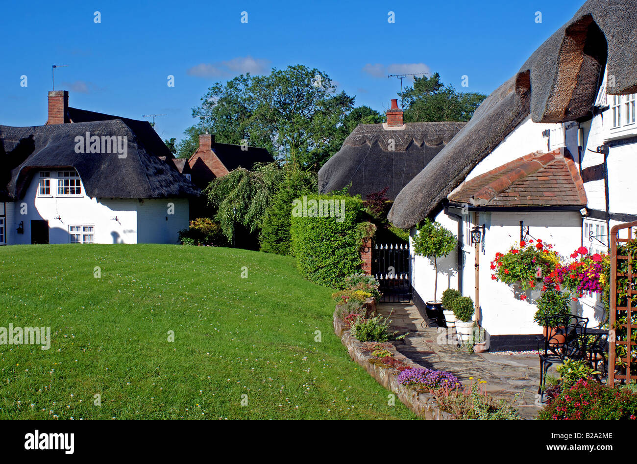 Little virginia kenilworth hi-res stock photography and images - Alamy