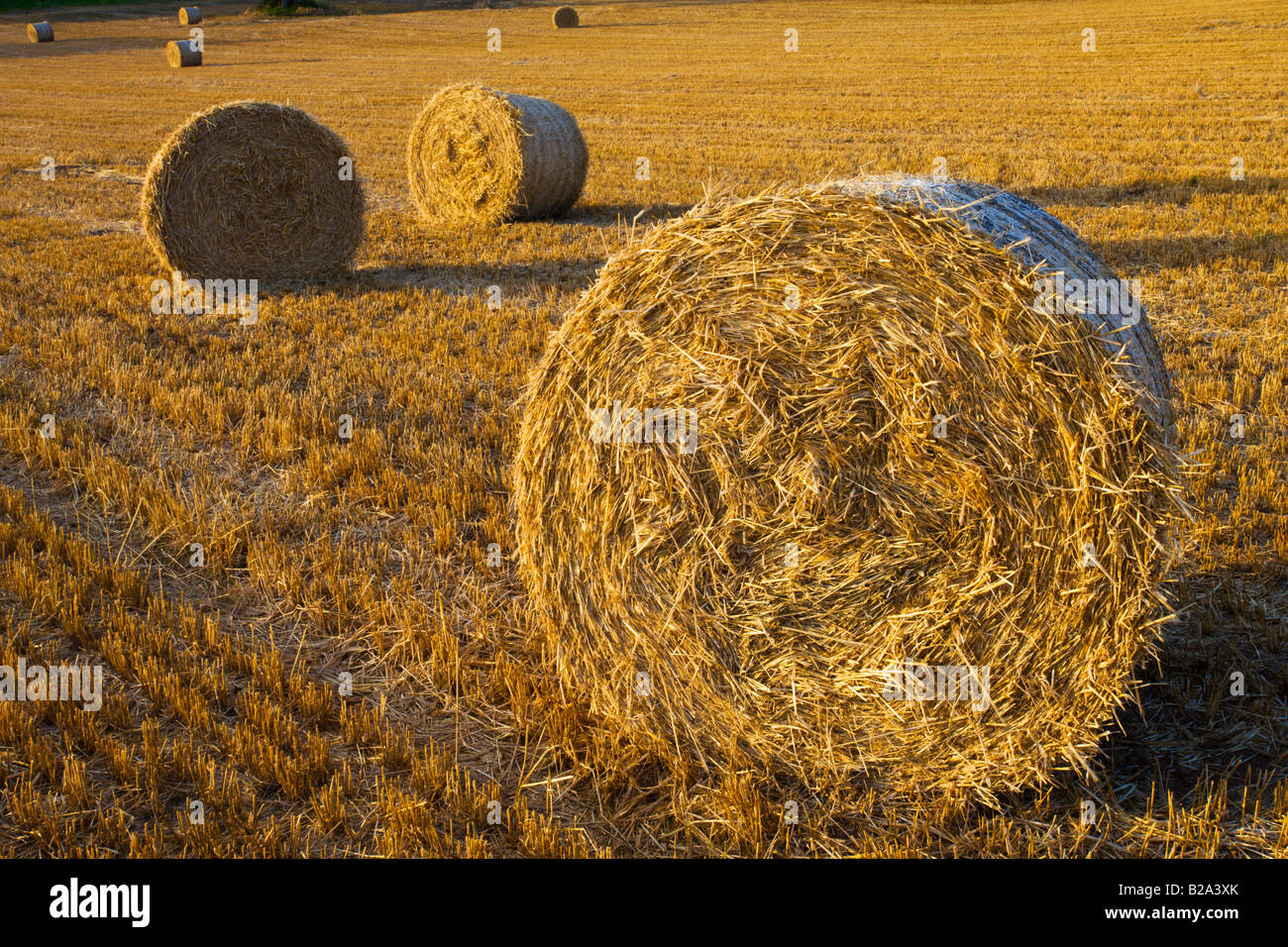 Round bails in a field hi-res stock photography and images - Alamy