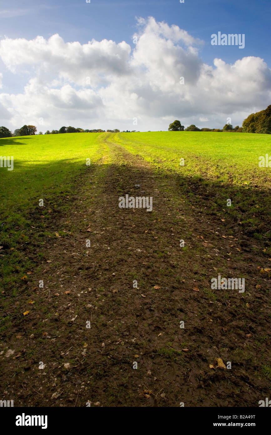 A track running across farmland near Alderley Edge in Cheshire Stock ...