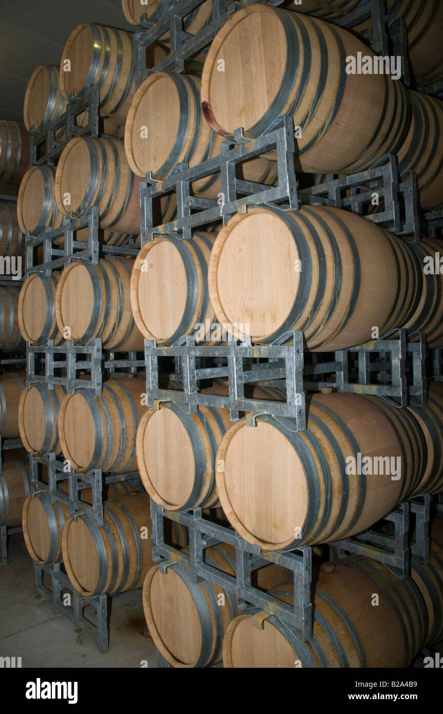 Israel Lower Galilee Tabor Winery Oak wood wine ageing barrels Stock ...