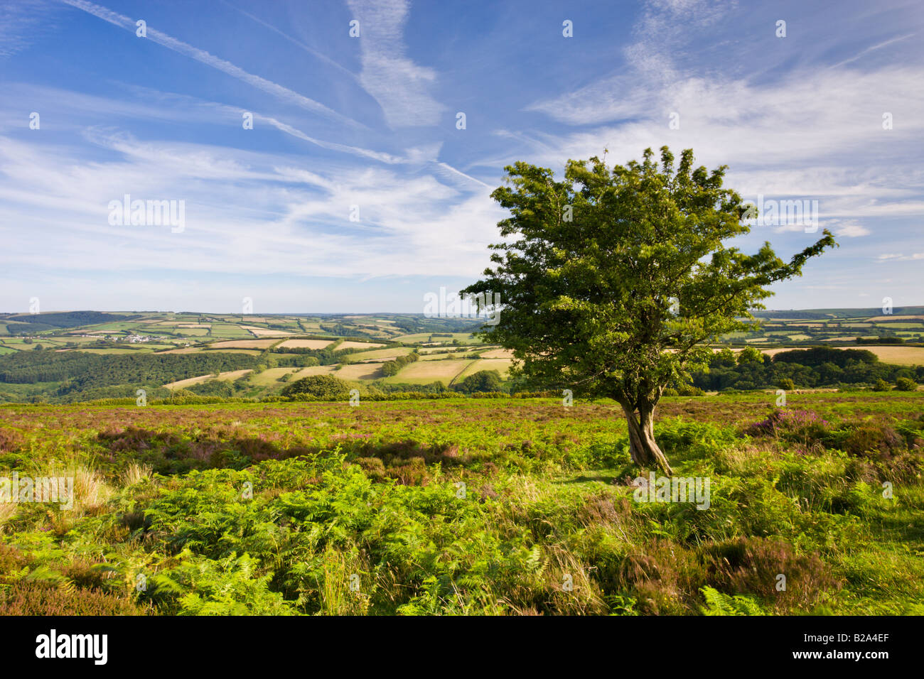Far reaching landscape views hi-res stock photography and images - Alamy
