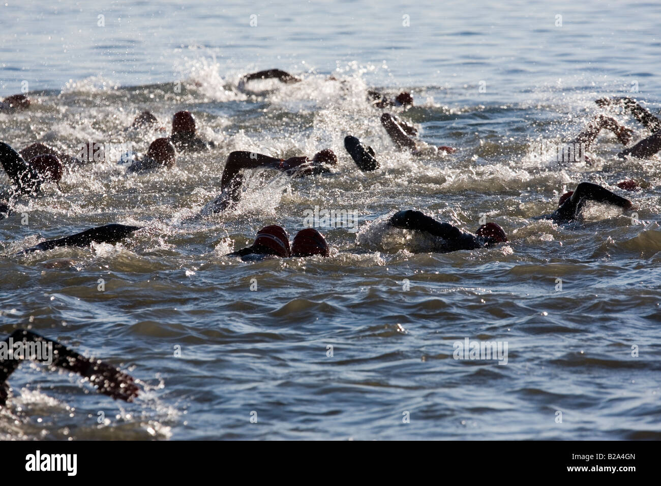 Swimmers churn into the sun at the Boulder Peak Triathlon Stock Photo ...