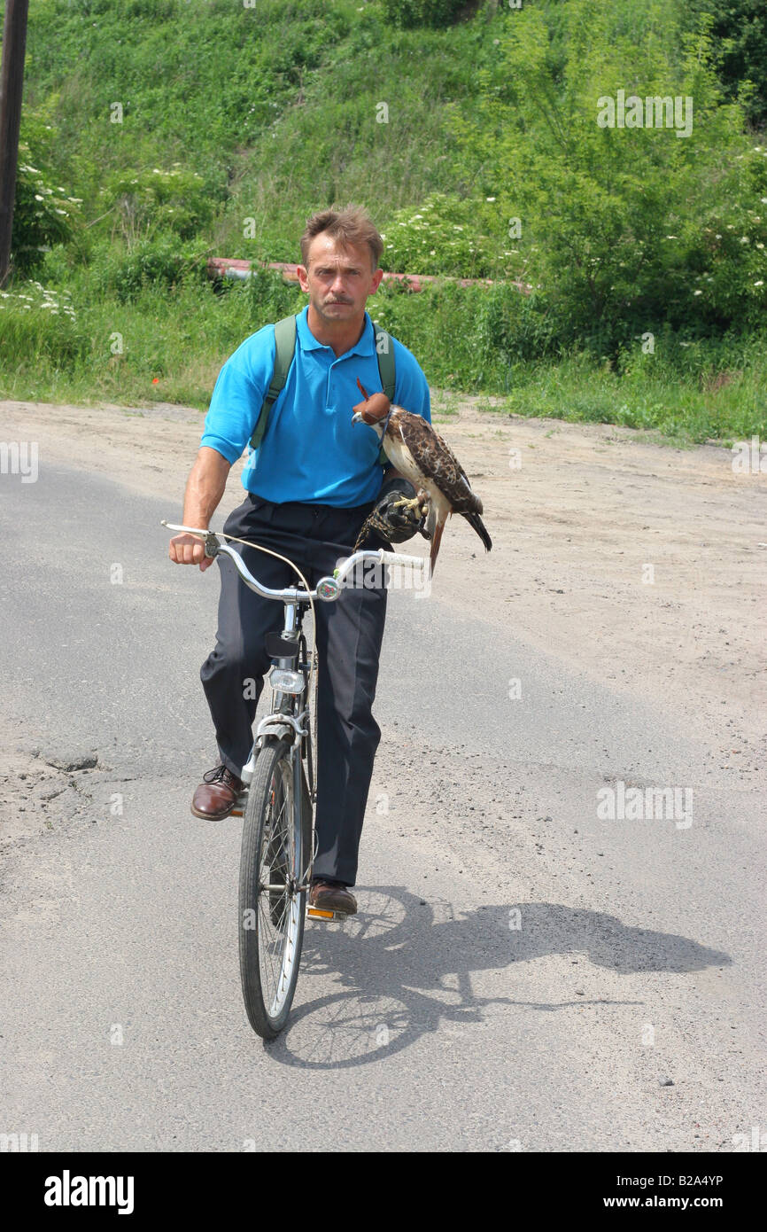 Man and hawk hi-res stock photography and images - Alamy