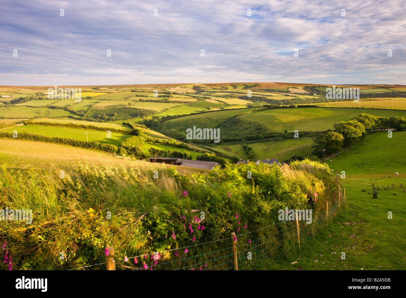 Rolling farmland near Brendon in Exmoor National Park Devon England ...