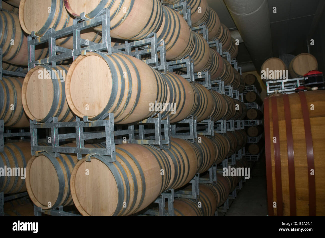 Israel Lower Galilee Tabor Winery Oak wood wine ageing barrels Stock ...