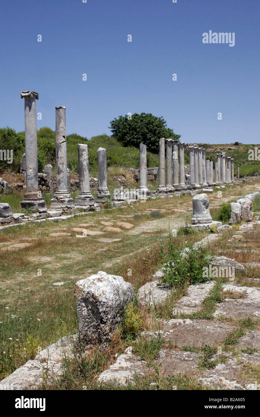 ROMAN PAVEMENT AND COLONNADE IN PERGE, TURKEY Stock Photo - Alamy