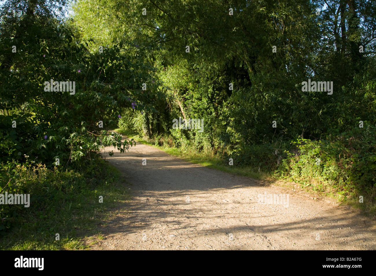 A deserted private unmade country road in Buckinghamshire countryside ...